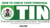 How To Check For Your Individual TIN (Tax Identification Number) Online ...