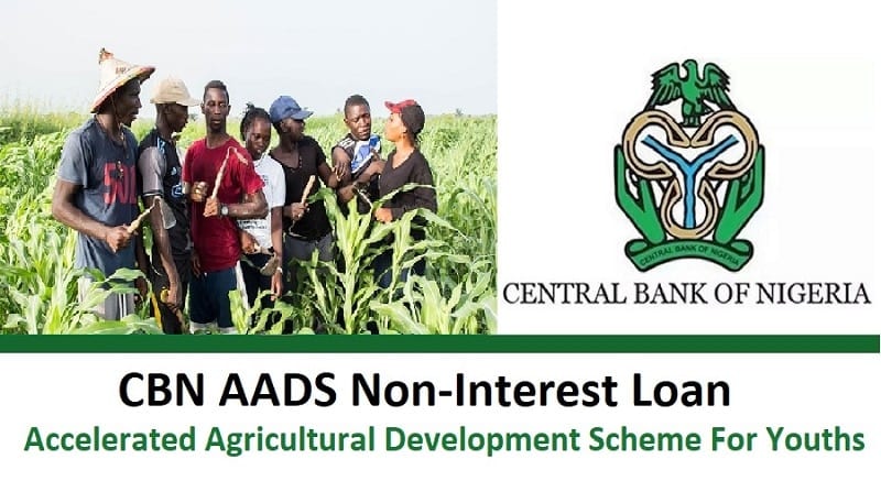 Detailed Requirement On How To Access CBN Non-Interest Accelerated Agricultural Development ...