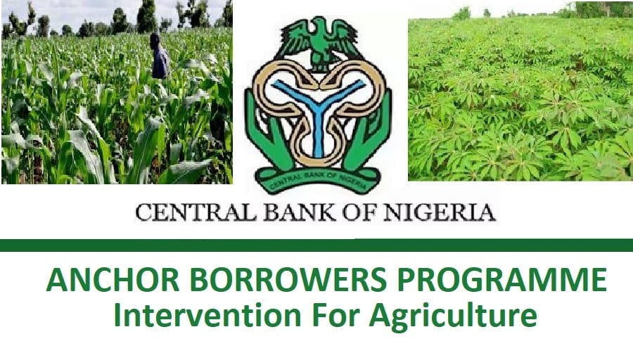 Detailed Guide On Accessing CBN Anchor Borrowers Programme (ABP ...