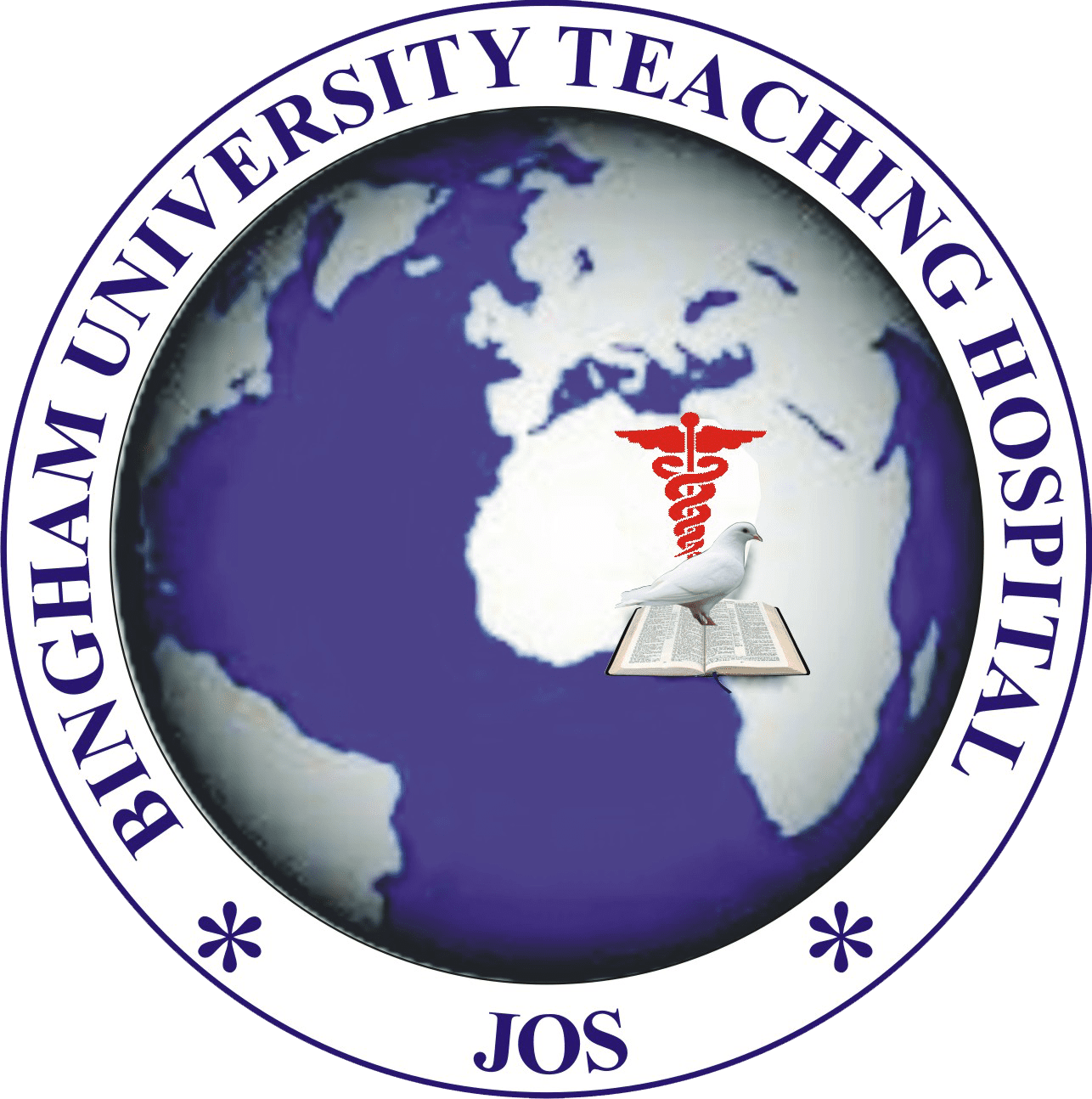 Chief Medical Director At Bingham University Teaching Hospital ...