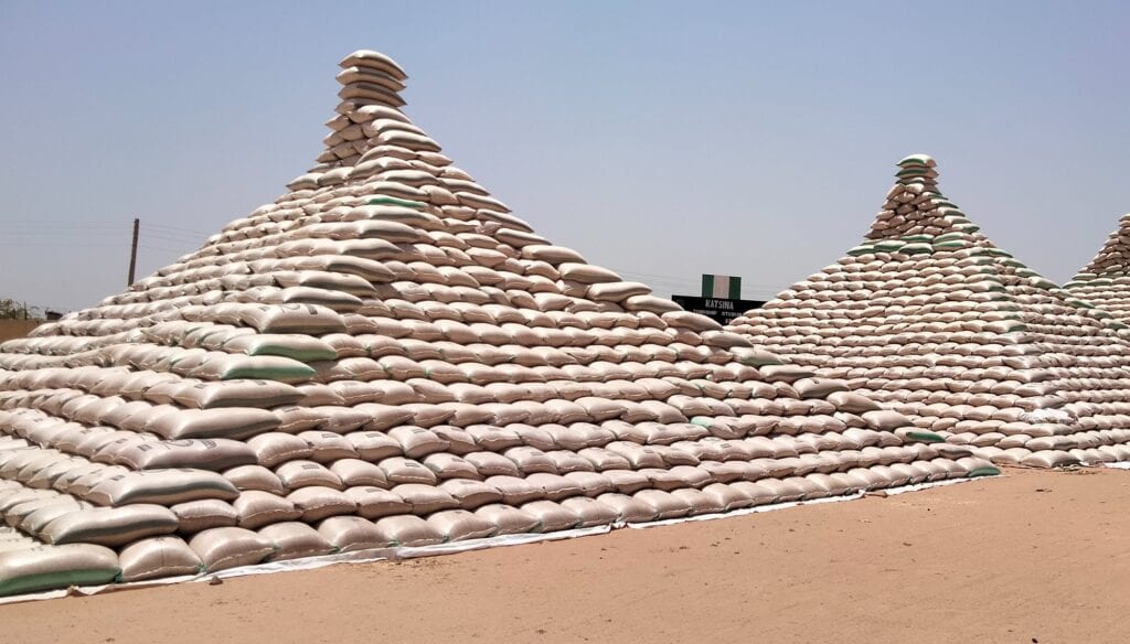 CBN Unveils First Maize Pyramids, Flags-Off 2021 Maize Wet Season ...