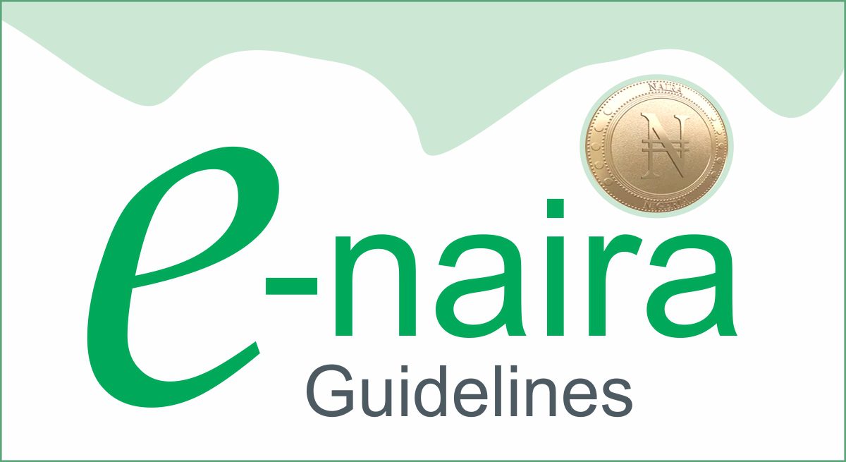 ENaira: CBN Engages Global Fintech Company, Bitt Inc. As Technical ...