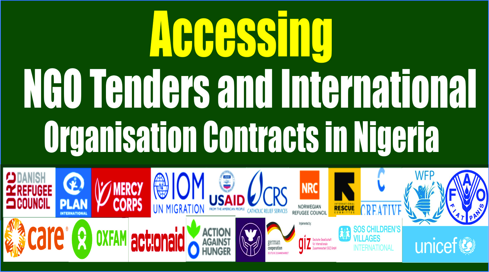 How To Access NGO Tenders, Embassies And Intl. Bodies Contracts In ...
